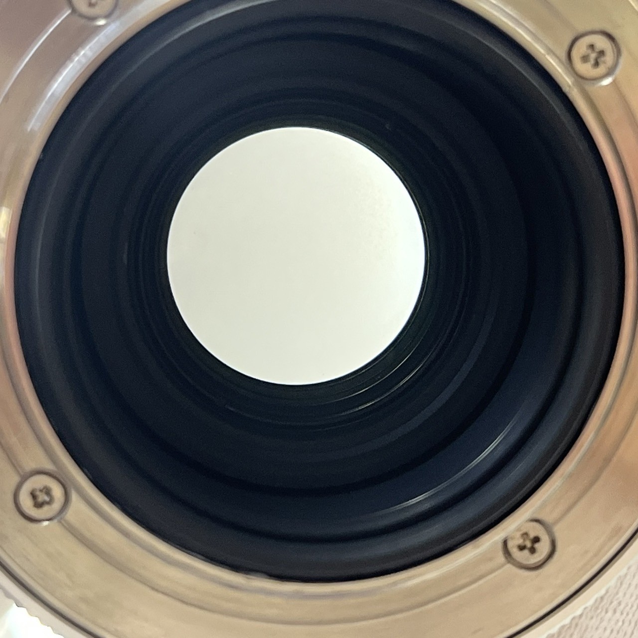 231016-343 - SOREDAKE オークション